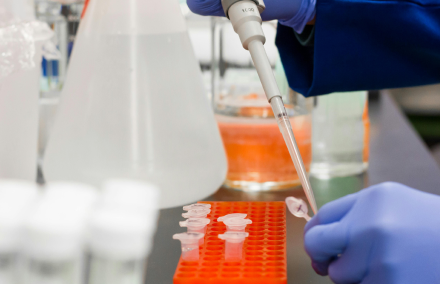 Home | Structure Therapeutics